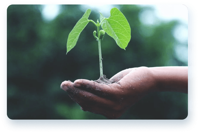 Microsoft Sustainability Manager | Dynamics Square